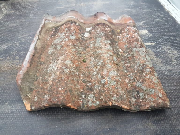 Triple Roman Clay Roof Tiles | Bath Reclamation