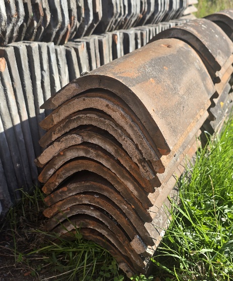 Hogs Back Ridge | Bath Reclamation